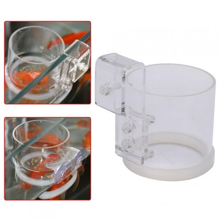 Feeder Ring Transparent Fish Feeding Cup, 1Pc Fish Acrylic Cup, Fish ...