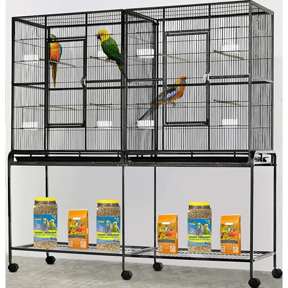 Double Bird Cage