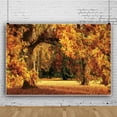 Autumn Scenery Backdrop Golden Fallen Leaves Fall Festival Natural ...