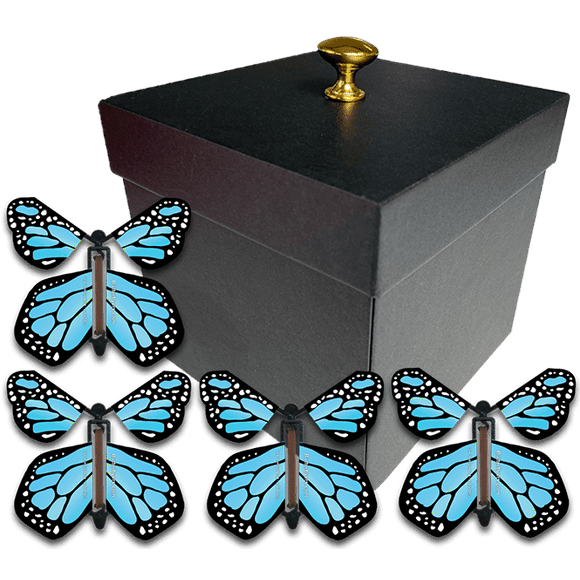 Flying Butterfly Gift Box