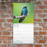 2018 Backyard Birds Mini Calendar - Walmart.com