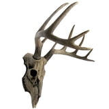 Atlantic Collectibles 10 Point Buck Head Skull Wall Mounted Hanging ...