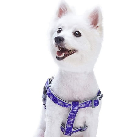 Soft and Comfy Step-in Paisley Flower Print Dog Harness, Chest Girth 20 ...