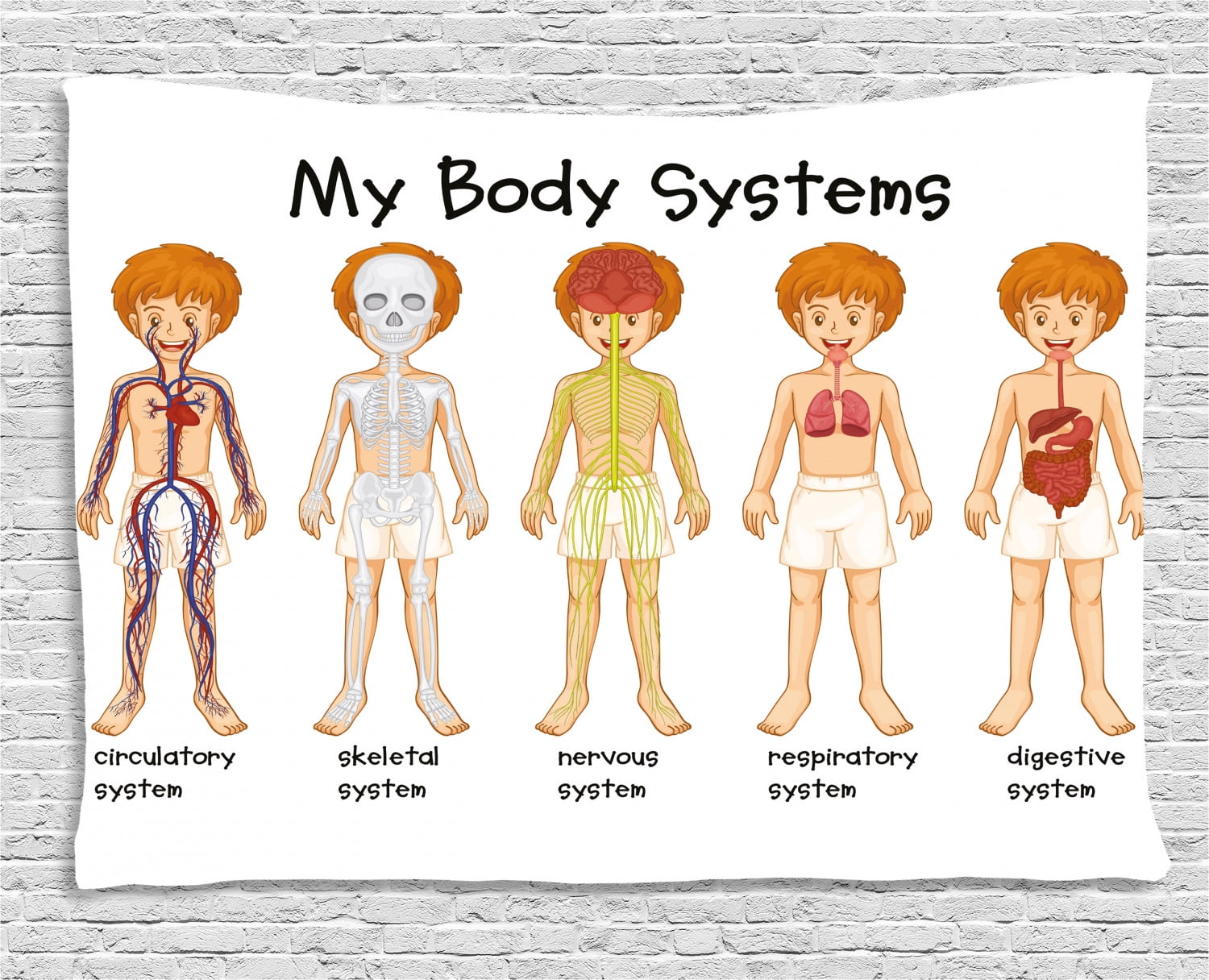Educational Tapestry Different Systems In Human Nervous Skeletal educational-tapestry-different-systems-in-human-nervous-skeletal