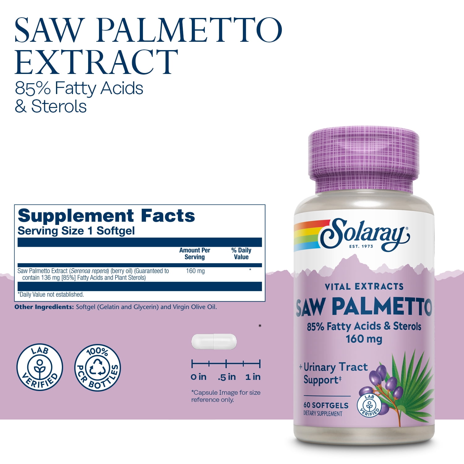 Buy Solaray Saw Palmetto Extract, Healthy Prostate & Urinary Tract ...