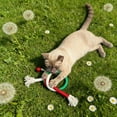 Interactive Cat Chew wirh Teaser for and Adult Cats Biting Play - Walmart.com