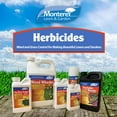 Monterey LG 5600 Spurge Power Herbicide, One Pint - Walmart.com