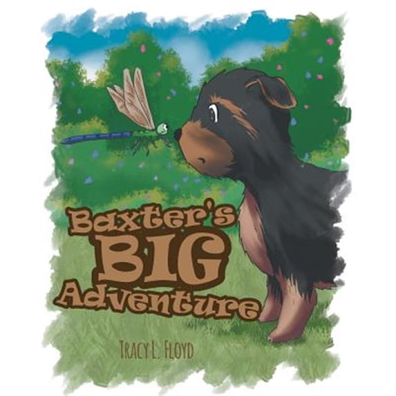Pre-Owned Baxter's Big Adventure (Paperback) - Walmart.com