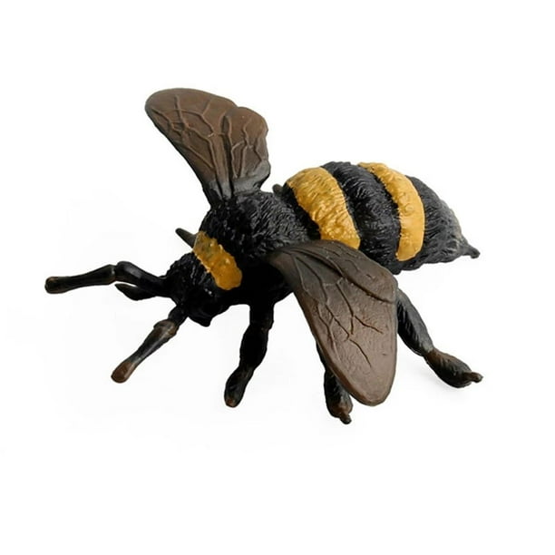 Plastic Educational Resource Beetle Model Model Toys Bee Model Science ...