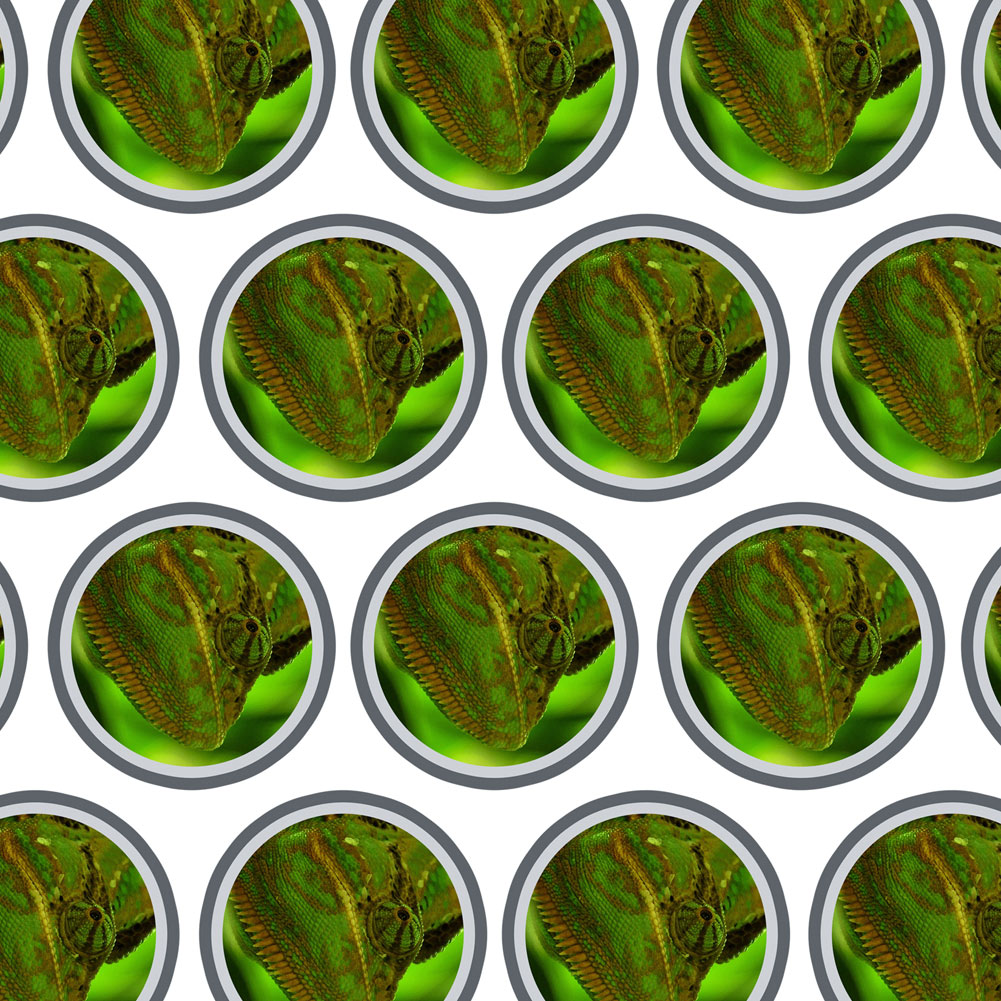 Chameleon Blending in Leaves Lizard Reptile Premium Gift Wrap Wrapping ...