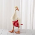 D-GROEE Pet Chicken Diapers Duckling Diapers Goose Clothes Washable and ...