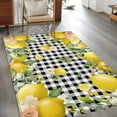 3'x5' Area Rugs, Lemon Farmhouse Indoor Outdoor Area Rug for Living ...