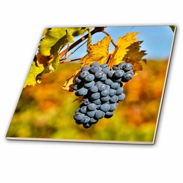 3dRose Aqua Waves- Water- Art - Ceramic Tile, 12-inch - Walmart.com