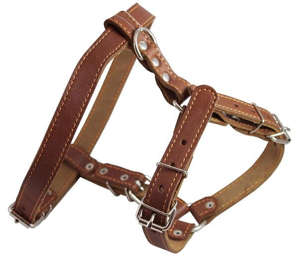 Genuine Leather Dog Walking Harness Medium Brown, 21" - 24" Chest ...
