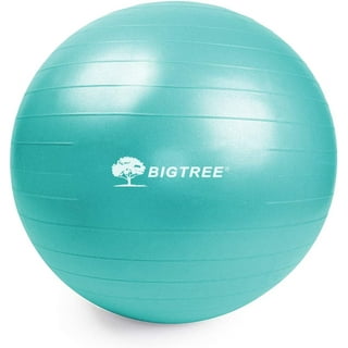 Gymnic Heavy Med 5 Exercise Training Balls - Walmart.com