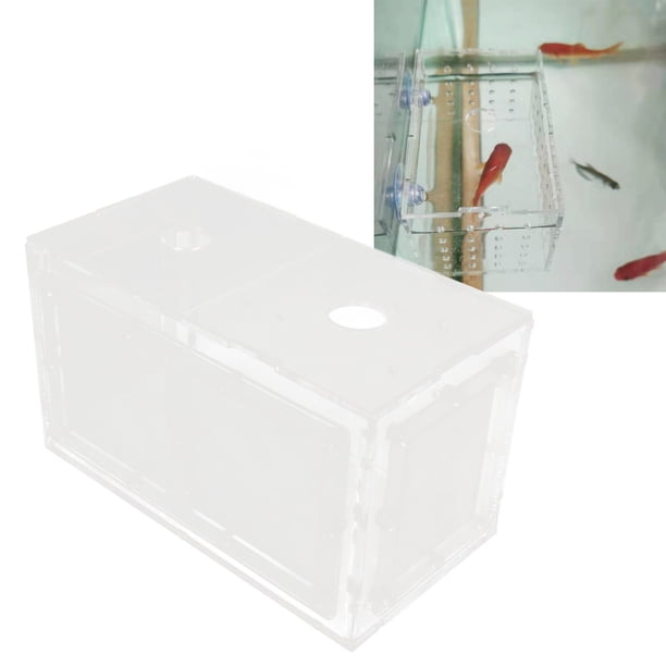 Aquarium Fish Breeding Box Fish Breeding Isolation Box Brine Shrimp ...