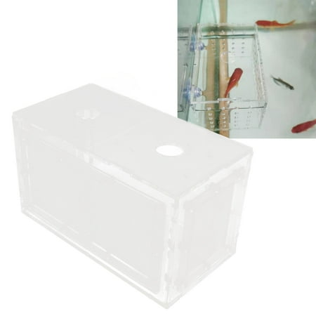 Aquarium Fish Breeding Box Fish Breeding Isolation Box Brine Shrimp ...