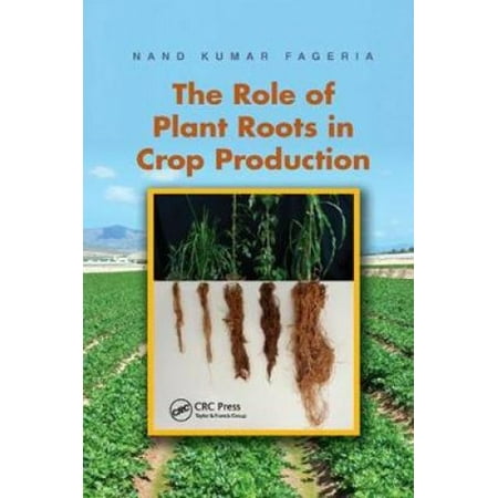 The Role of Plant Roots in Crop Production | Walmart Canada