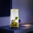 Vertical Insect Terrarium, Reptile Tank, for Tarantula Butterfly Larvae ...