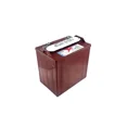 x2 | T-890 8 Volt 190Ah Flooded Lead Acid GC8 Deep Cycle Battery ...