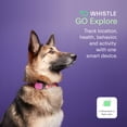 Whistle GO Explore Dog GPS Tracking Device and Pet Health Monitoring ...