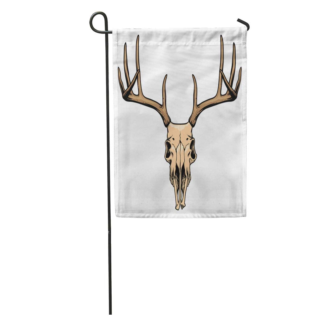SIDONKU Antler Deer Skull Moose Skeleton Head Elk Anatomy Antelope ...
