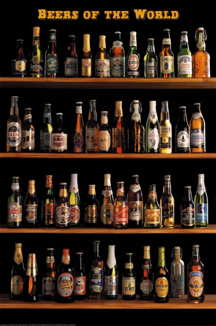 Beers of The World Poster - 24x36 - Walmart.com