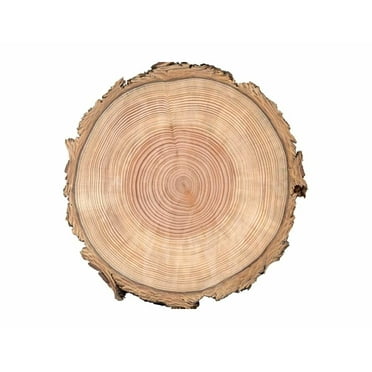 Spinosaurus Dinosaur Sharp Teeth Trees Edible Cake Topper Image ...