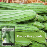 Luffa Gourd Seeds - Non GMO Heirloom Varieties for your Home Vegetable ...