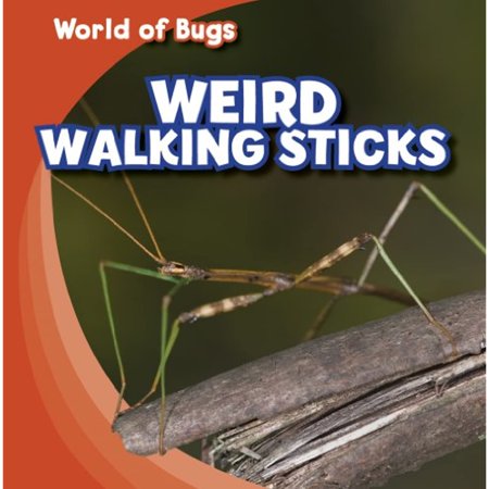 Weird Walking Sticks | Walmart Canada
