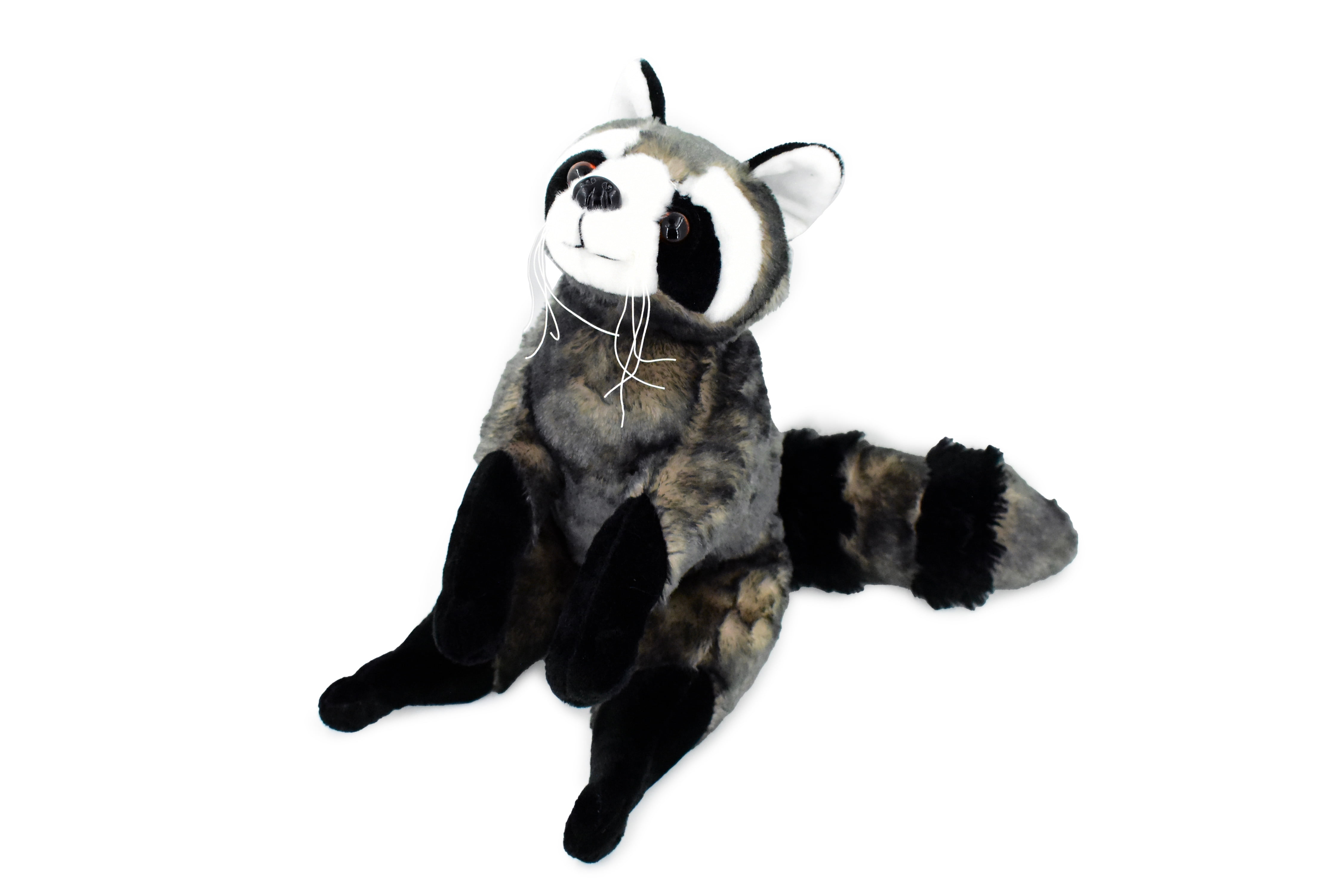 Raccoon, Very Nice Plush, Stuffed Animal, Educational, Toy, Kids ...