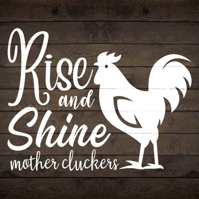 Rise and Shine Rustic Looking Inspiration Farmhouse Wood Sign Wall ...