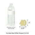 Big Dot of Happiness Gold Glitter 40 - No-Mess Real Gold Glitter Cut ...