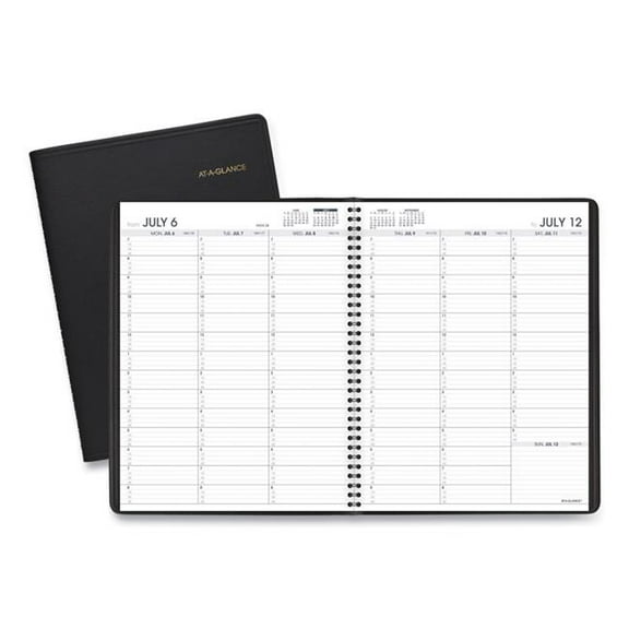 At-A-Glance Professional Daily Appointment Book - Walmart.com