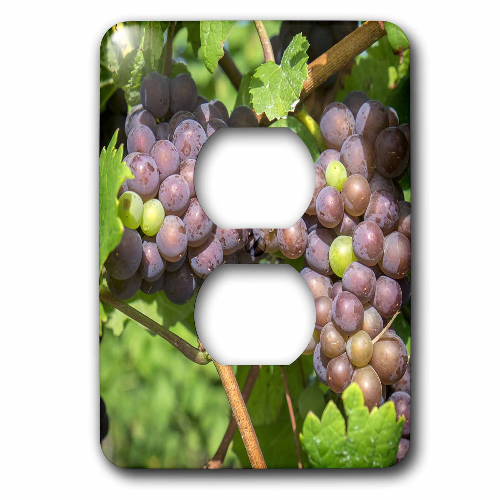 Grapes on vine, Skaneateles, New York, USA 2 plug outlet cover lsp ...