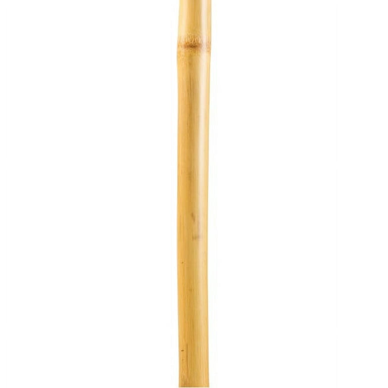 Single Bamboo Texture