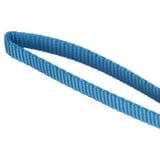 Hatfield 3/8 X 5' Toy Leash, Blue - Walmart.com