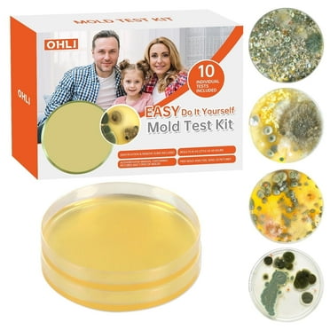 Xecvkr Lead Test Kit Strips for Painted Surfaces Ceramic Dishes Metal ...