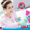 LOLA Nylon Net & Sponge Cleaning Pad, Similar To Turn-a-Bout Scrubbing Sponges - 2 Pack ...