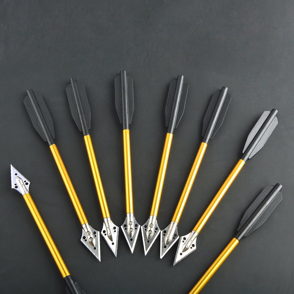 AMEYXGS (12pcs Gold)Aluminum Arrows 6mm Arrows Non-Removable for ...