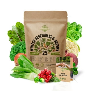 Burpee Bodacious Hybrid Tomato Vegetable Seed, 1-Pack - Walmart.com