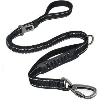 Dutchy Brand Ultra Strong Heavy Duty Reflective Training Dog Leash for ...
