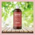 Maple Holistics Moroccan Argan Oil Shampoo - Sulfate Free for Dry ...