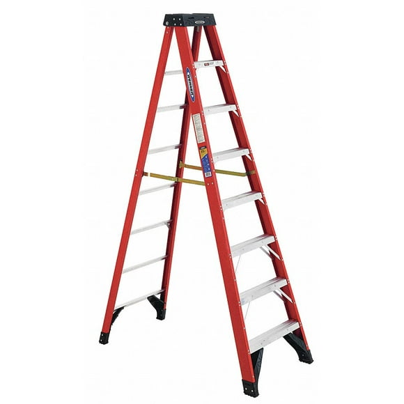Werner 6 FT Ladders