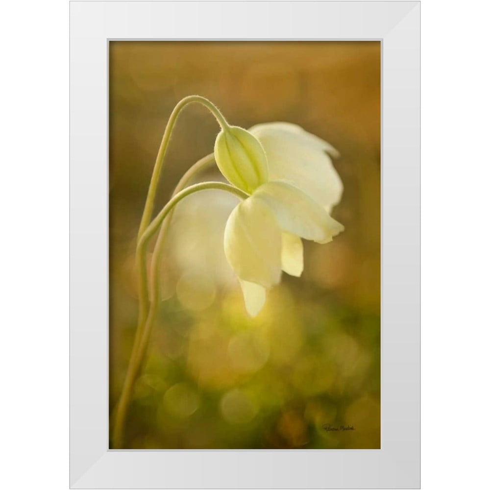 Murdock, Ramona 17x24 White Modern Wood Framed Museum Art Print Titled ...