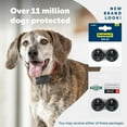 PetSafe RFA-67 6 Volt Replacement Batteries, 2 Pack, RFA-67D-11, Black ...