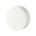 12Pcs Paintable 3Inch Foam Circles Polystyrene Foam Disks For Handmade ...