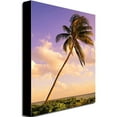 Trademark Art Lone Palm Canvas Wall Art - 18 x 24 Quality - Walmart.com