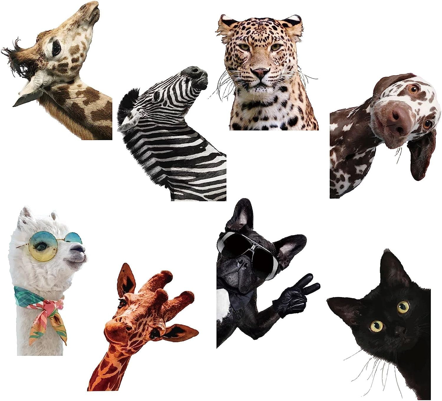 1set Animal Window Clings Animal Wall Decor Sticker Inspirational ...