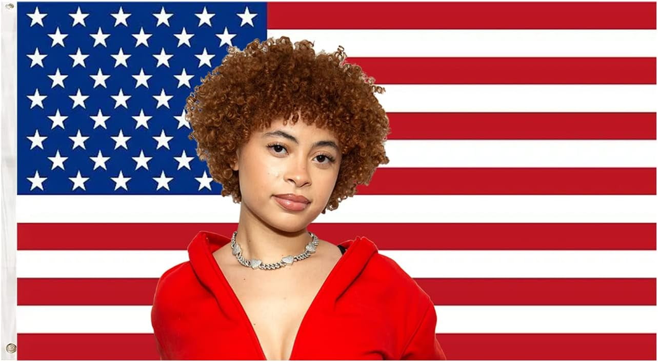 Haobuy Ice Spice Flag, 3 X 5 FT USA Flag Outdoor Indoor Tapestry Banner ...